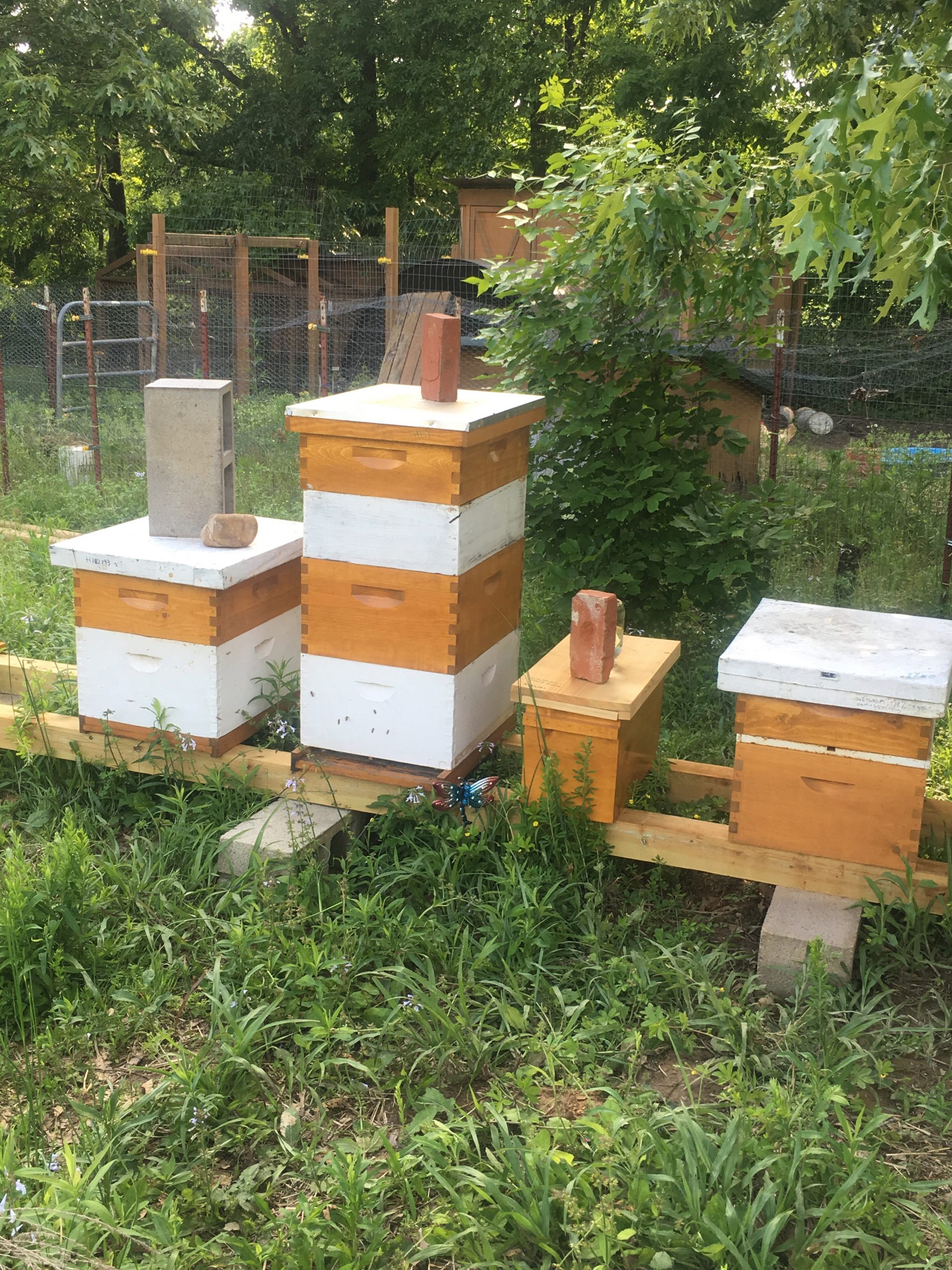 DIY Telescoping Outer Cover - Backyard Beekeeping